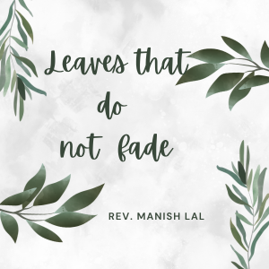 Leaves that do not fade - Rev. Manish Lal